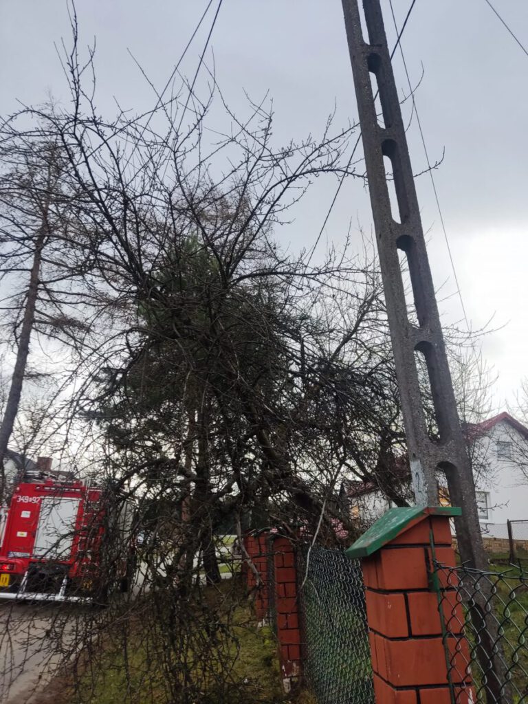 Stary Sącz. Powalone drzewa, uszkodzone domy | Starosadeckie.info